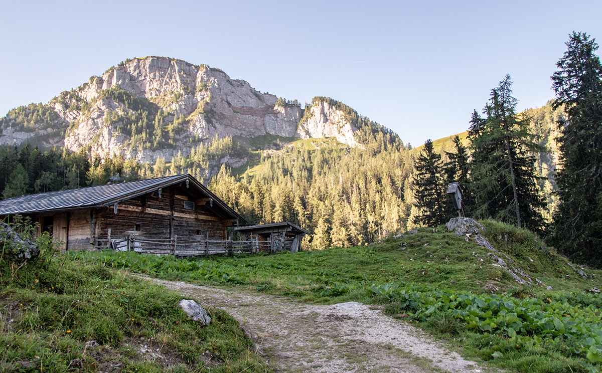 Die Königstalalm am Jenner | Almidylle pur | Berchtesgaden